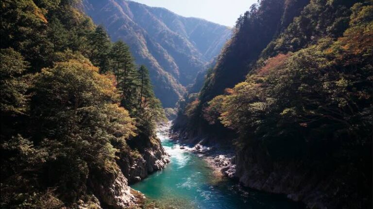 Sohei: The Warrior Monks of Medieval Japan